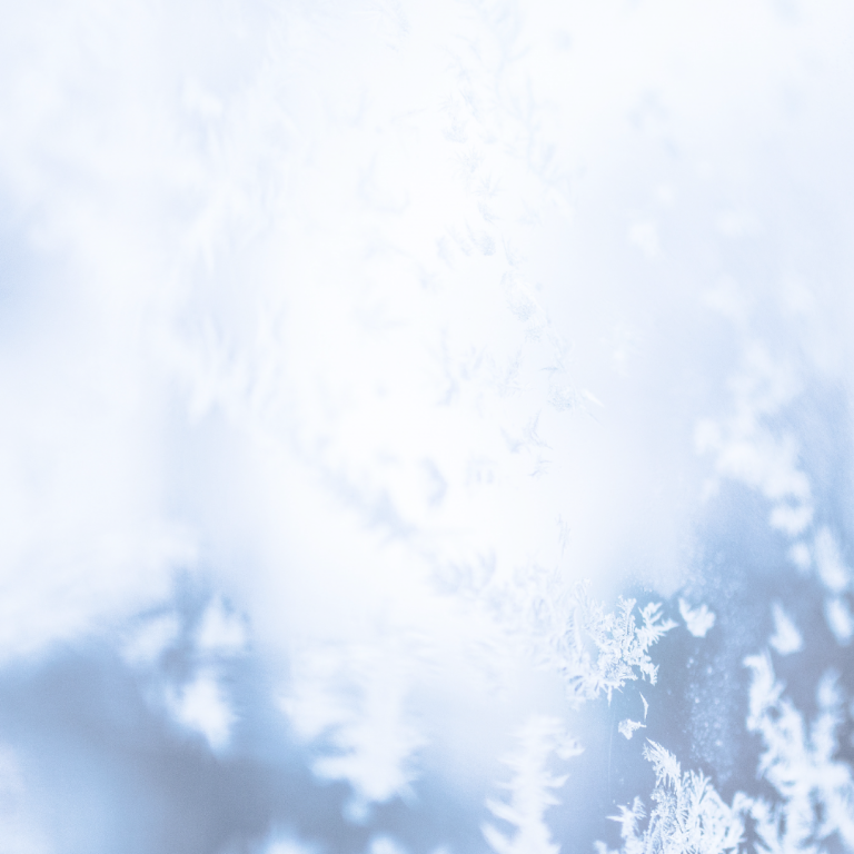 Community | Sybil Andrews Academy